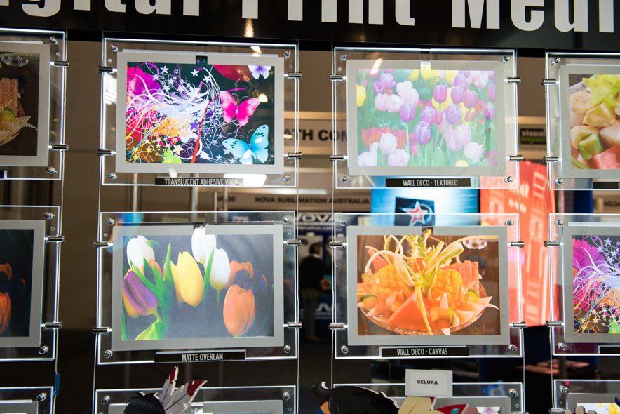 Visual Impact | Visitor's Guide